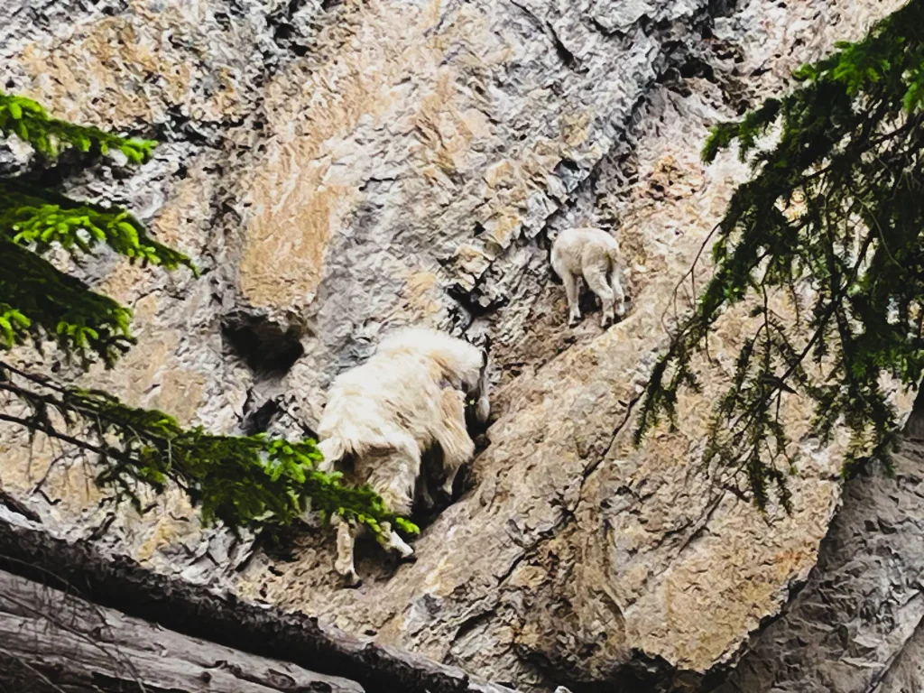 Ultimate Kananaskis Travel Guide: The Lakes, Trails, And Mountain ...
